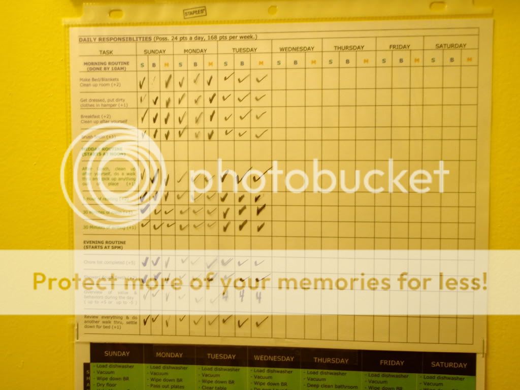 Daily Checks Photo by mimiwebb75 | Photobucket