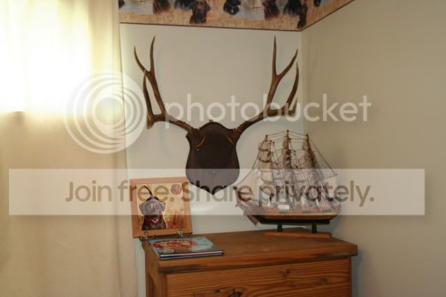 book cliffs Archery deer hunt | Utah Wildlife Forum