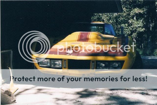 Post pictures of custom painted L88 Hoods here - CorvetteForum ...