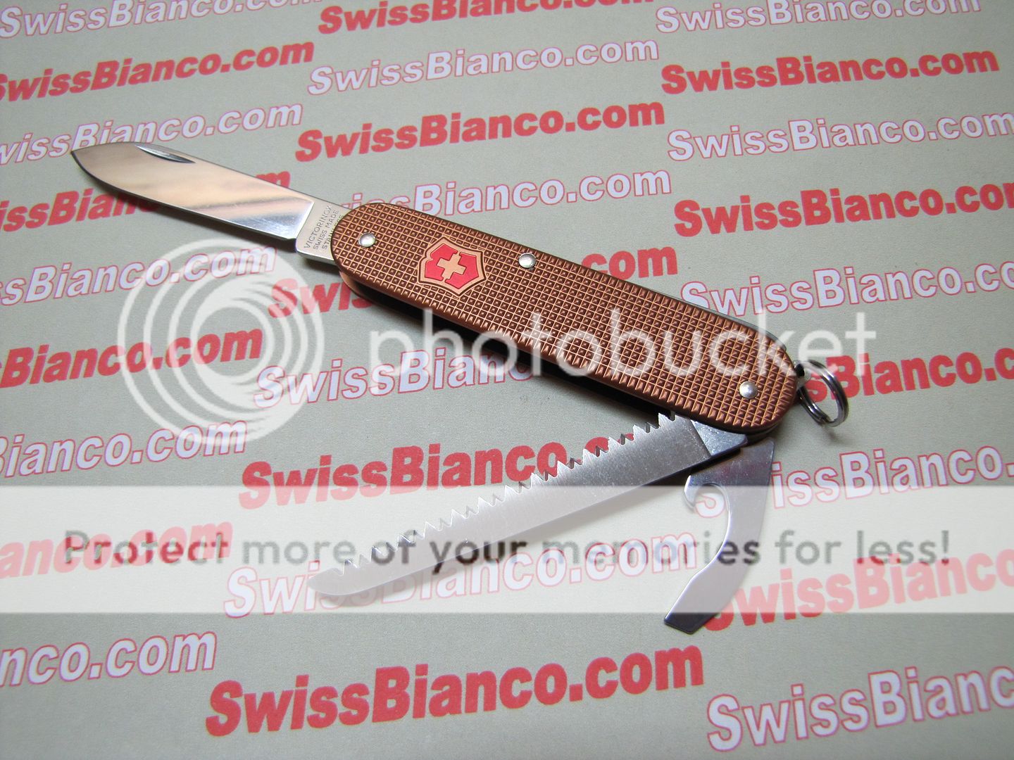 Smallest SAK with a saw | BladeForums.com