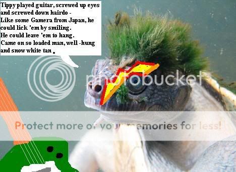 FARK.com: (3902106) I saw a turtle...with a mohawk