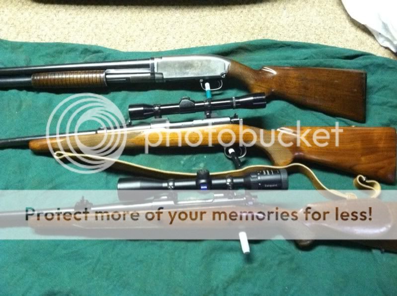 M70 Build | Page 2 | Shotgun Forum