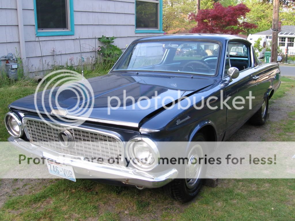 Show me your cuda pictures | Page 3 | The H.A.M.B.